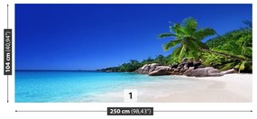 Fototapeta Seychelská pláž 104x70