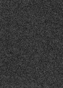 Koberce Breno Metrážový koberec PRIMAVERA 236, šíře role 400 cm, Černá