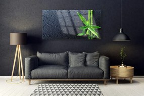 akrylový obraz Bambus Stonek Rostlina Příroda 120x60 cm