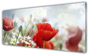 Plexisklo-obraz Květiny Plátky Rostlina 125x50 cm