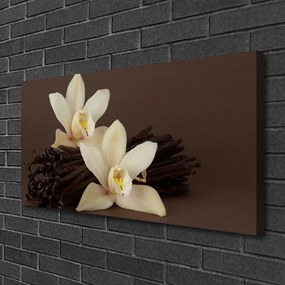 Obraz na plátně Květy Vanilky do Kuchyně 100x50 cm