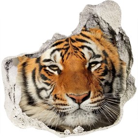 Wallmuralia Díra 3D foto tapeta nálepka Bengálský tygr 75x75 cm