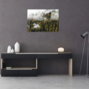 Skleněný obraz lesa v mracích (70x50 cm)