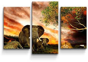 Sablio Obraz - 3-dílný Zvířata ze Sahary - 75x50 cm