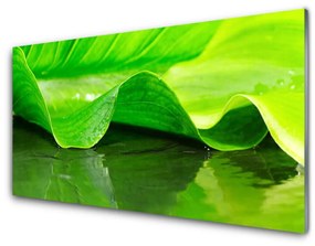 Obraz na skle Liść Roślina Natura 100x50 cm