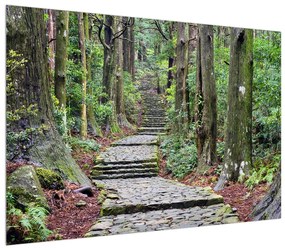 Obraz kamenných schodů v lese (100x70 cm)