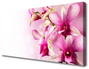 Obraz na plátně Květiny Rostlina Příroda 120x60 cm