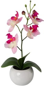 Gasper Umělá květina Orchidej v keramickém květináči, růžová, 21 cm