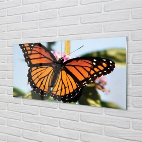 Obraz na skle barevný motýl 100x50 cm