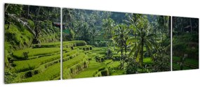 Obraz rýžových teras Tegalalang, Bali (170x50 cm)