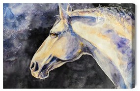 Obraz Světlý Kůň Na Tmavém Pozadí Nedostatek Nedostatek Plátno Canvas 100x70