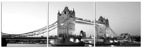 Obraz na plátně - Tower Bridge - panoráma 530ČB (120x40 cm)