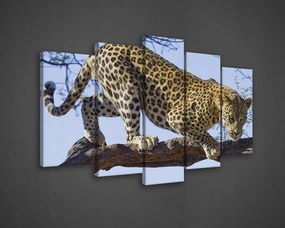 Obraz 100x60 Leopard dravec divoká příroda grácie síla Afrika safari