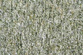 ASSOCIATED WEAWERS Metrážový koberec SAVANNAH 29 BARVA: Zelená, ŠÍŘKA: 3 m