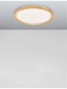 Nova Luce Stropní svítidlo TROY, LED 50W 3000K stmívatelné