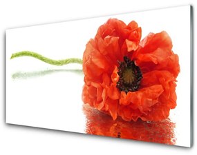 Plexisklo-obraz Květiny Příroda 140x70 cm