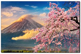Obraz na plátně - Hora Fuji a třešňové květiny na jaře 1266A (60x40 cm)