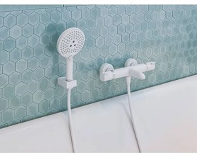 Hansgrohe Raindance Select S Ruční sprcha 12,5 cm, s EcoSmart, bílá matná 26531700