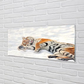 akrylový obraz Tiger winter 120x60 cm