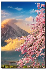 Obraz na plátně - Hora Fuji a třešňové květiny na jaře- obdélník 7266A (90x60 cm  )
