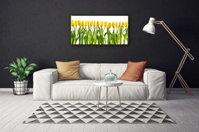 Obraz na plátně Tulipány Květiny Příroda 125x50 cm