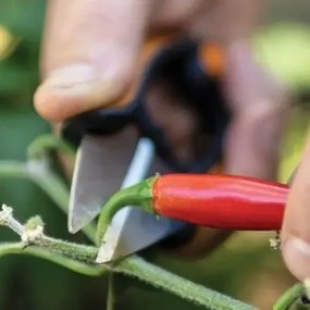 Fiskars Solid SP220 Nůžky na bylinky