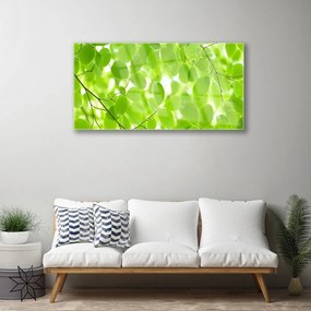 Obraz na skle Listy Příroda 125x50 cm