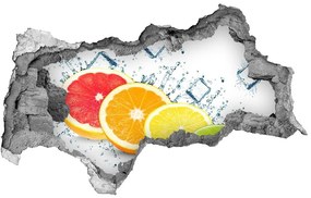 Wallmuralia Nálepka 3D díra na zeď Citrusové ovoce 95x73 cm