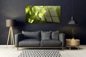 Plexisklo-obraz Listy Slunce Paprsky 120x60 cm