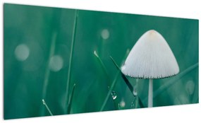 Obraz houby v trávě (100x40cm)