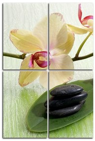 Obraz na plátně - Květy orchideje - obdélník 762D (90x60 cm)
