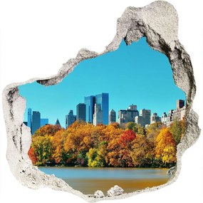 Wallmuralia Fototapeta díra na zeď 3D New York podzim 75x75 cm