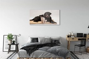 akrylový obraz ležící psi 125x50 cm