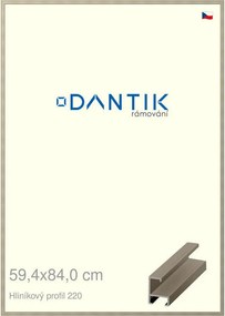 DANTIK rámeček 59,4x84 | ALU profil 6220 champagne (Plexi Čiré)