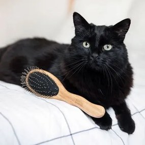 Anju Beauté Kartáč pro psy a kočky Velikost: S