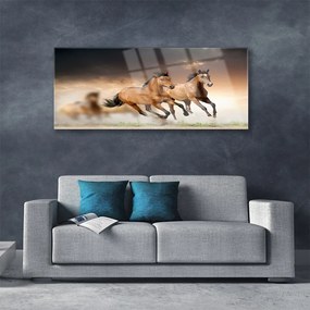 akrylový obraz Koně Zvířata 125x50 cm