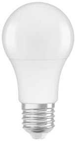 Matná LED kvalitní žárovka E27 8,5 W STAR, teplá bílá