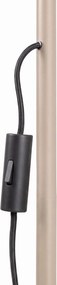 Sollux Lighting Stojací lampa NOX taupe