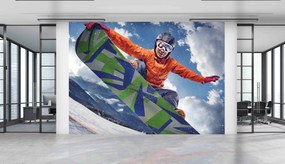 Malvis ® Tapeta Snowboard Vel. (šířka x výška): 216 x 140 cm
