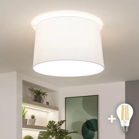 Brilagi - LED Přisazený lustr CERIA 1xE27/40W/230V pr. 45 cm bílá