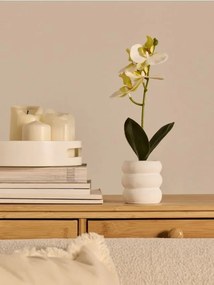 Sinsay - Dekorativní rostlina v květináči – orchidej - bílá