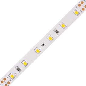 T-LED LED pásek 24V-300-12W vnitřní Varianta: Studená bílá