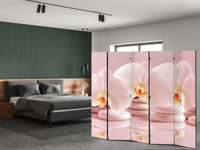 Liox PARAVÁN ORCHIDEJ V RŮŽOVÉM RÁJI Rozměr: 225 x 180 cm