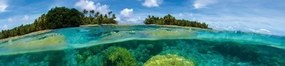 DIMEX | Fototapeta do kuchyně Korálový útes KI-260-013 | 260 x 60 cm | zelená, modrá