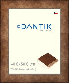 DANTIK rámeček 40x50 | TOMAS bronz velká (Plexi Čiré)