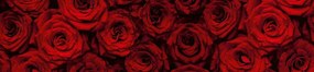 Fototapeta do kuchyně KI260-132 Red Roses 260 x 60 cm