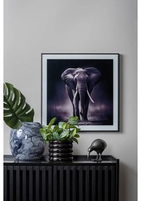 Obraz 50x50 cm Elephant – PT LIVING