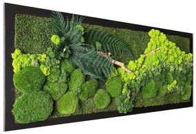 WOODILO Obraz ze stabilizovaného mechu a rostlin 212 Rozměr obrazu: 110x45 cm, Barva rámu: Přírodní (světlé dřevo), Síla rámu (pohledová): 4,5 cm