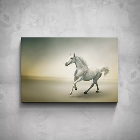 Obraz - Bílý kůň - PopyDesign