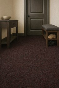 Rinos bv, Čistící zóna Robust 139 červená, šíře 200 cm, šíře 1,35m,2m, červená, pvc, chodba / předsíň
